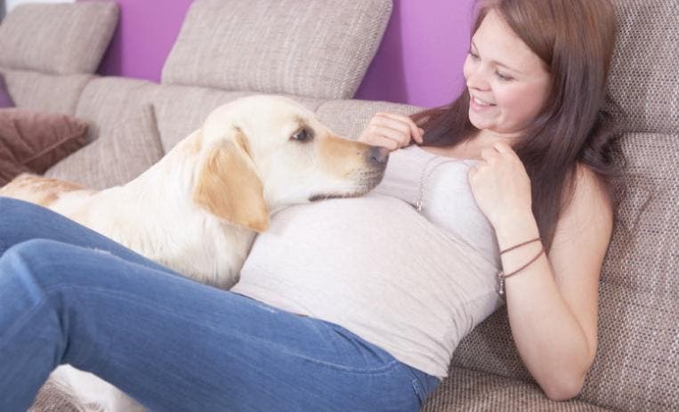 Tu perro: lo mejor que te puede pasar si estás embarazada | Contexto ...