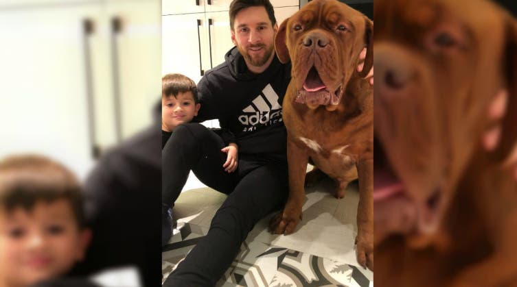 La impresionante foto del perro que Messi tiene en su mansión ...