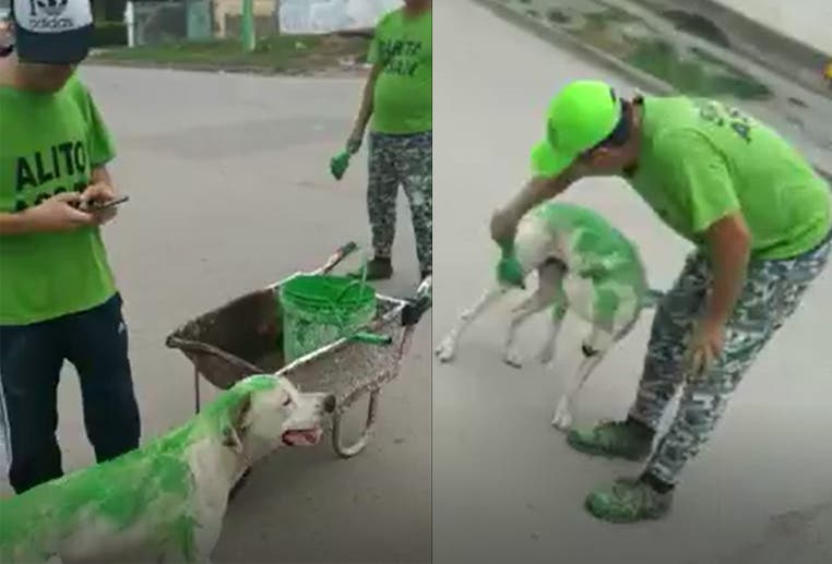 Empleados de Sarita y Alito Assan pintan a un perrito con pintura verde ...