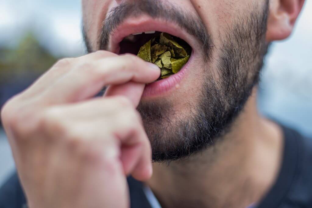 Por la escasez de coca, un kilo cuesta $ 30 mil en Buenos Aires ...