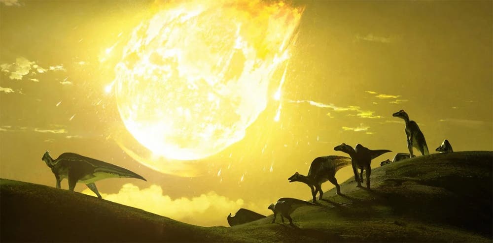 Un misterio de 66 millones de años: una nueva teoría explica de dónde ... Un misterio de 66 millones de años: una nueva teoría explica de dónde ...