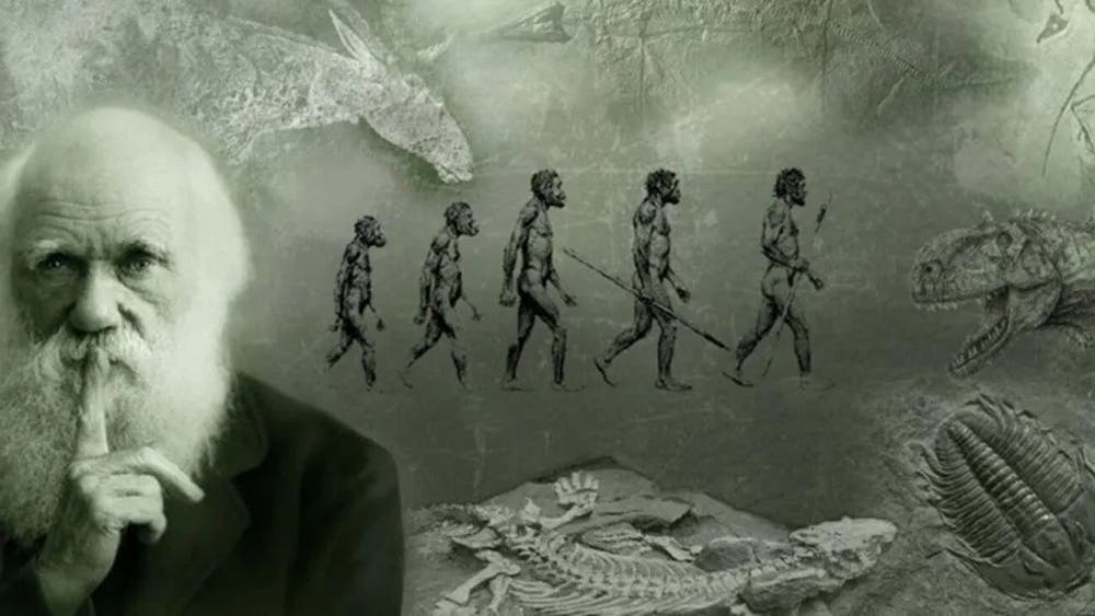 Una Hipótesis Impactante ¿se Cae La Teoría De La Evolución De Darwin