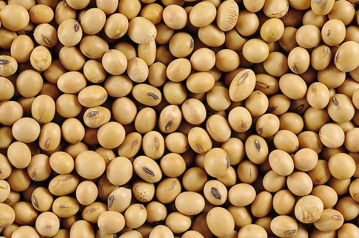 El banco más grande de EEUU prevé una importante caída para la economía ...