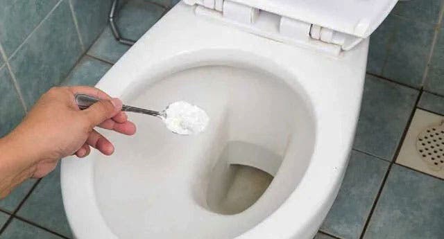 La razón por la que debés tirar un poco de sal en el inodoro todas las ...