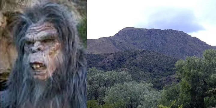 El Ucumar apareció en un cerro en Salta y hay mucho temor: “Por ahí ...