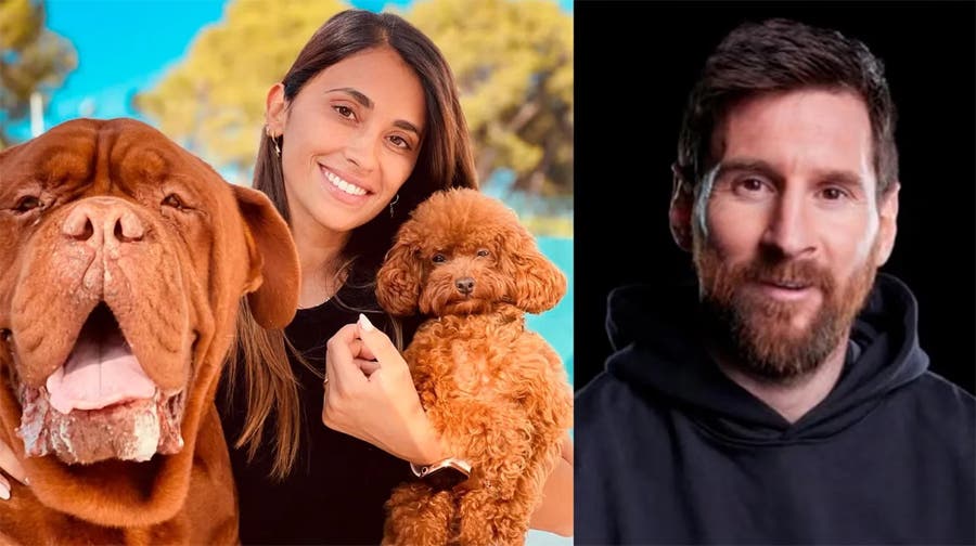 La angustia de Lionel Messi por su perro Hulk, que no pudo viajar con ...