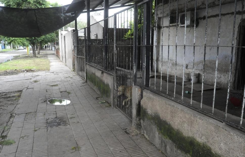 Murió el joven baleado en la cabeza en un episodio que aún no está ...