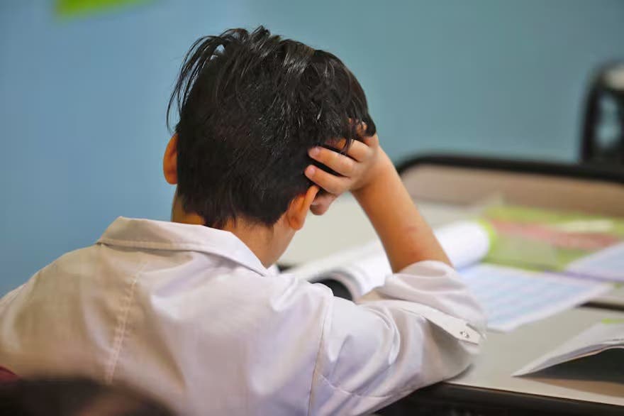 Un drama real: la mitad de los chicos de 3er grado no entiende lo que ...