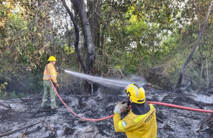 Incendio forestal en Yerba Buena dos días seguidos reactivó alarma y ...
